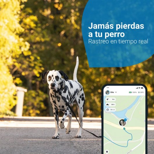 Tractive GPS DOG 4 Localizador para Perros con Seguimiento de Actividad ...
