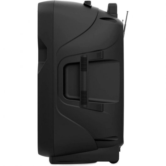 Audibax Denver 12 Altavoz Activo PA con Ruedas y 2 Micrófonos Inalámbricos 12” 200W Negro ...