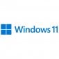 Microsoft Windows 11 Home Plus | PcComponentes.com